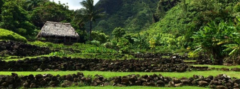 Uluo’a 2025 Annual Report – Native Hawaiian Legal Corporation